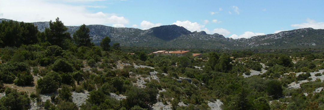 La belle Auriole culture spiruline liquide | Phycocyanine & Spiruline